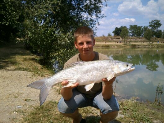 shimano120 - Balin - Haldorádó horgász áruház