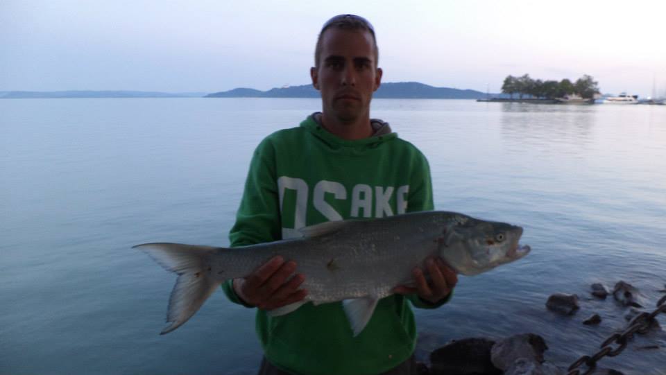 benaktibi - Balin - Haldorádó horgász áruház