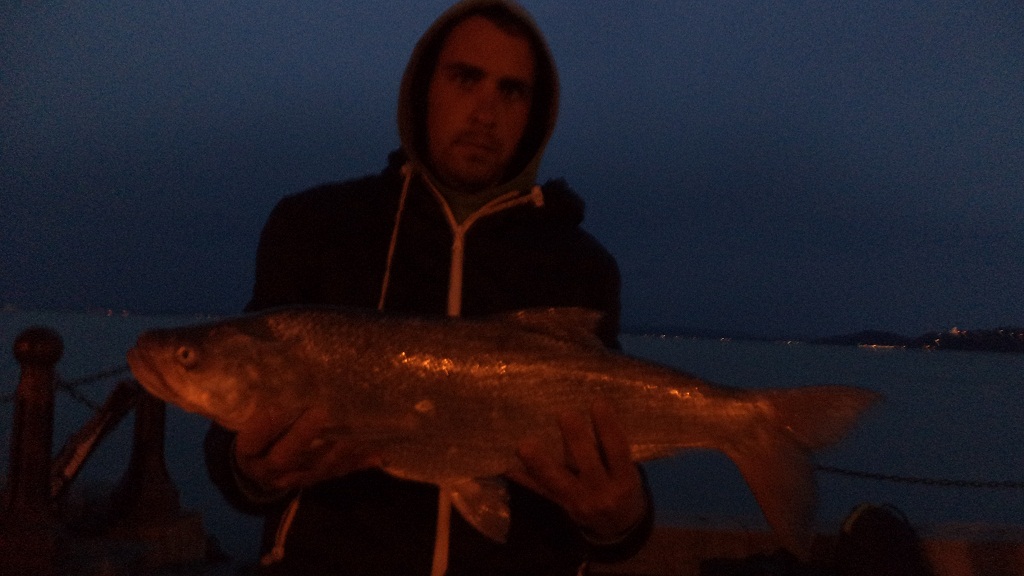 benaktibi - Balin - Haldorádó horgász áruház