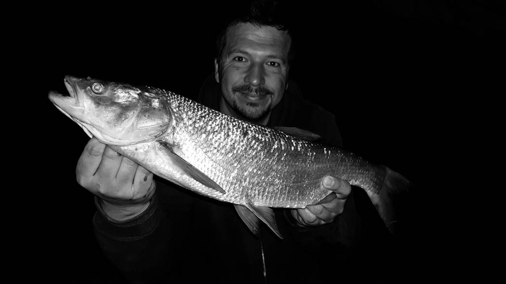 ridgeback - Balin - Haldorádó horgász áruház