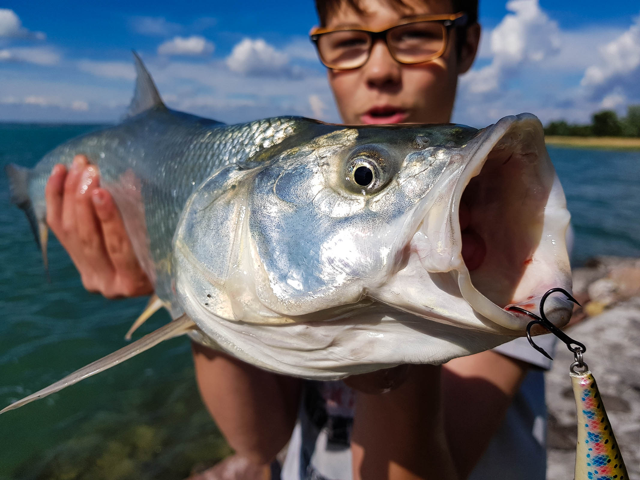 ridgeback - Balin - Haldorádó horgász áruház