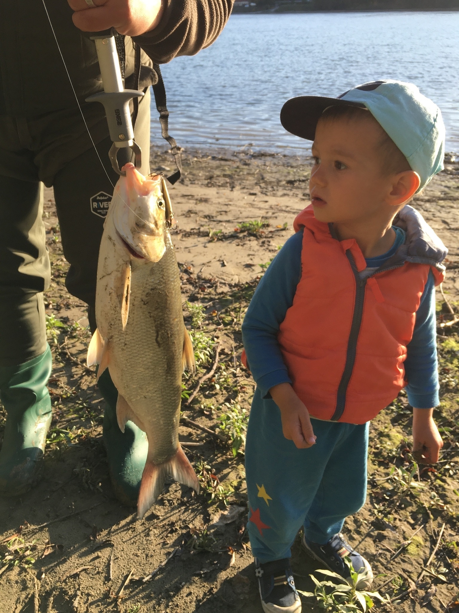 zovik88 - Balin - Haldorádó horgász áruház