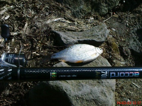 pordee - Bodorka - Haldorádó horgász áruház