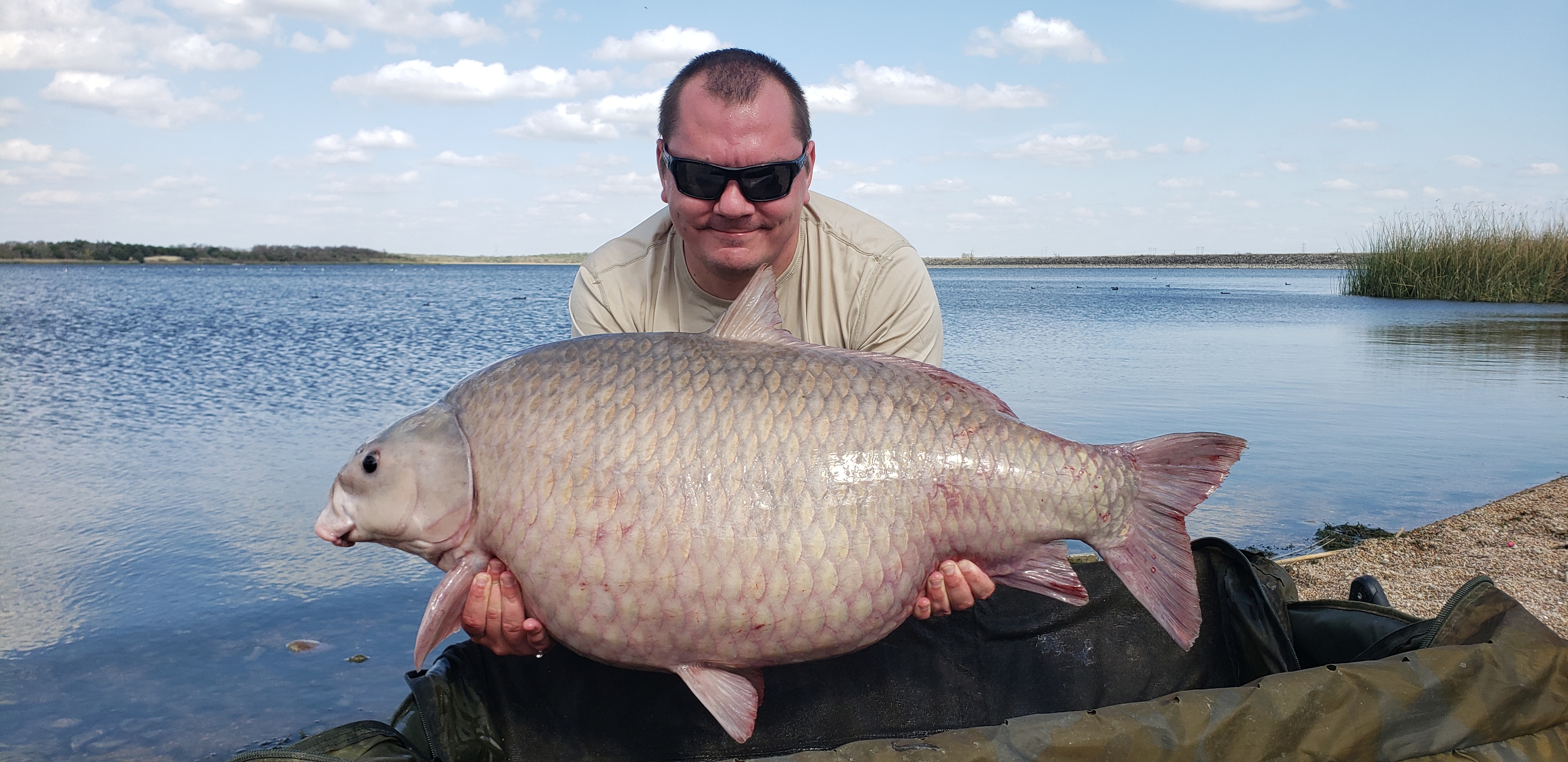 rozsasakos - Buffalo carp - Haldorádó horgász áruház