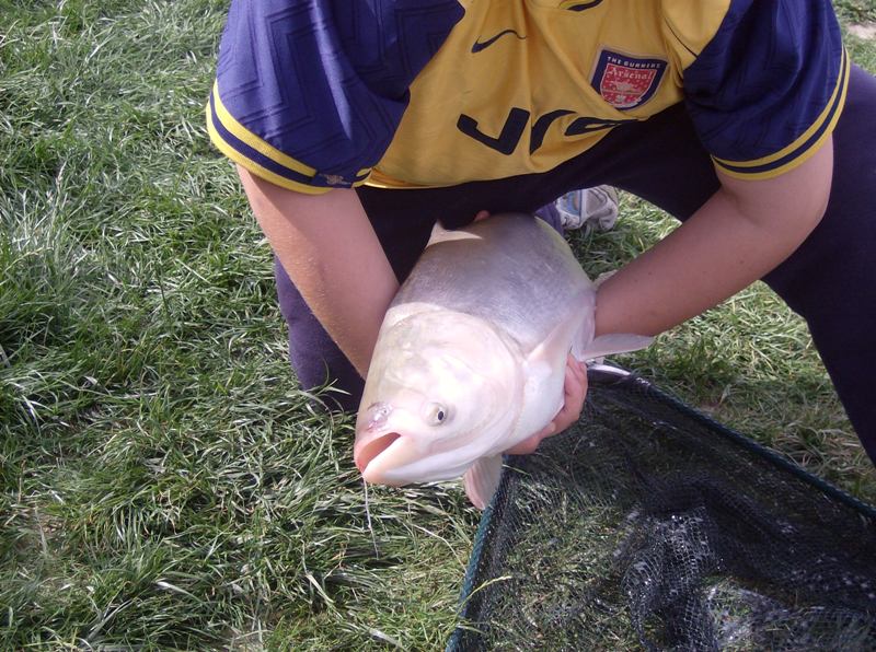 bass9292 - Busa - Haldorádó horgász áruház