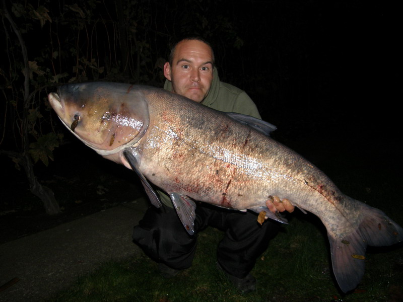 retriver - Busa - Haldorádó horgász áruház