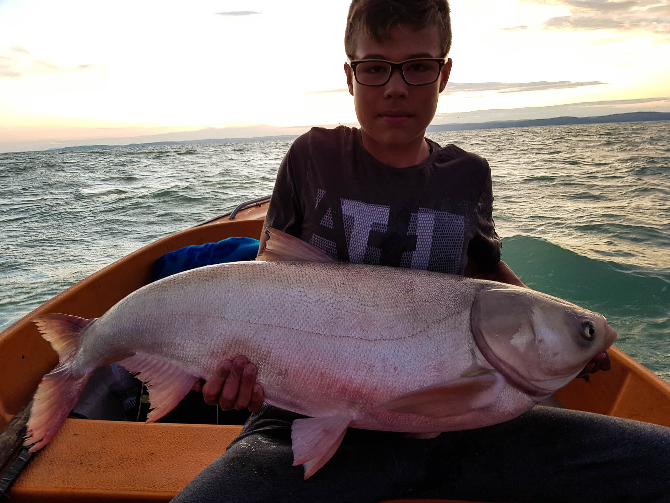 ridgeback - Busa - Haldorádó horgász áruház