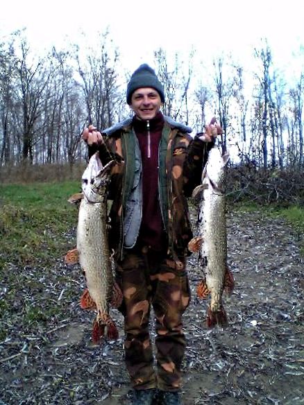 csiszta - Csuka - Haldorádó horgász áruház