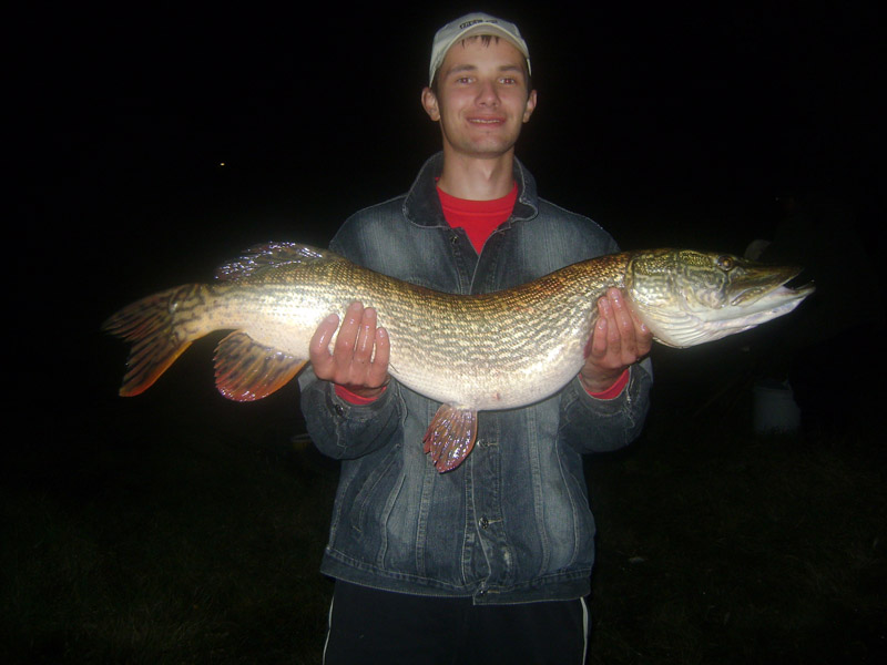 rometrajder - Csuka - Haldorádó horgász áruház