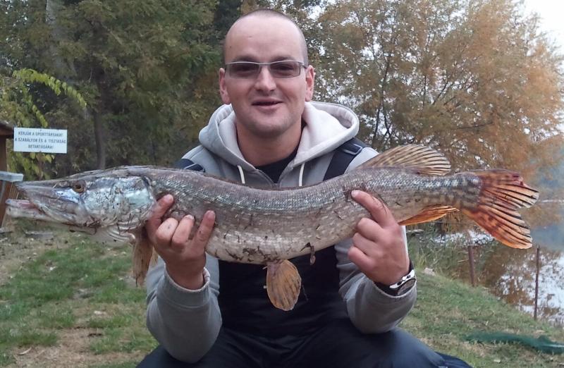 pokcsa - Csuka - Haldorádó horgász áruház