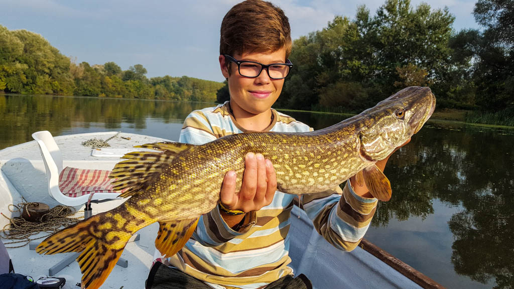 ridgeback - Csuka - Haldorádó horgász áruház