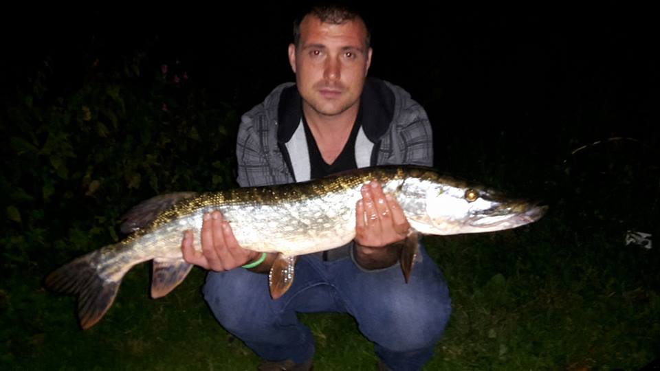 utasidavid19 - Csuka - Haldorádó horgász áruház