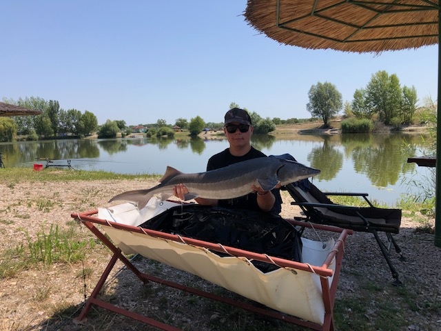 lantody_aurel - Lénai tok - Haldorádó horgász áruház