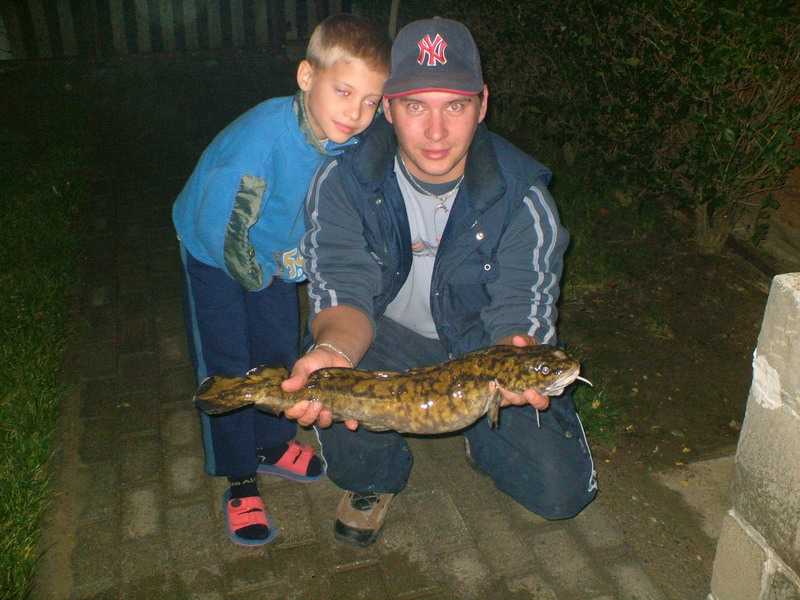 cibajoco - Menyhal - Haldorádó horgász áruház