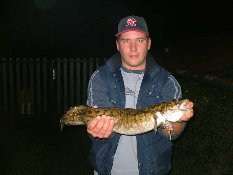 cibajoco - Menyhal - Haldorádó horgász áruház