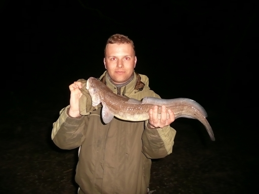 rolex - Menyhal - Haldorádó horgász áruház