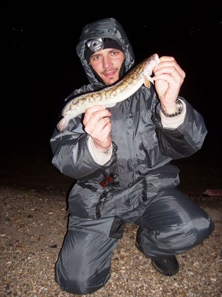 lachazii - Menyhal - Haldorádó horgász áruház