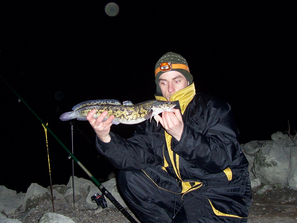 fabibe - Menyhal - Haldorádó horgász áruház