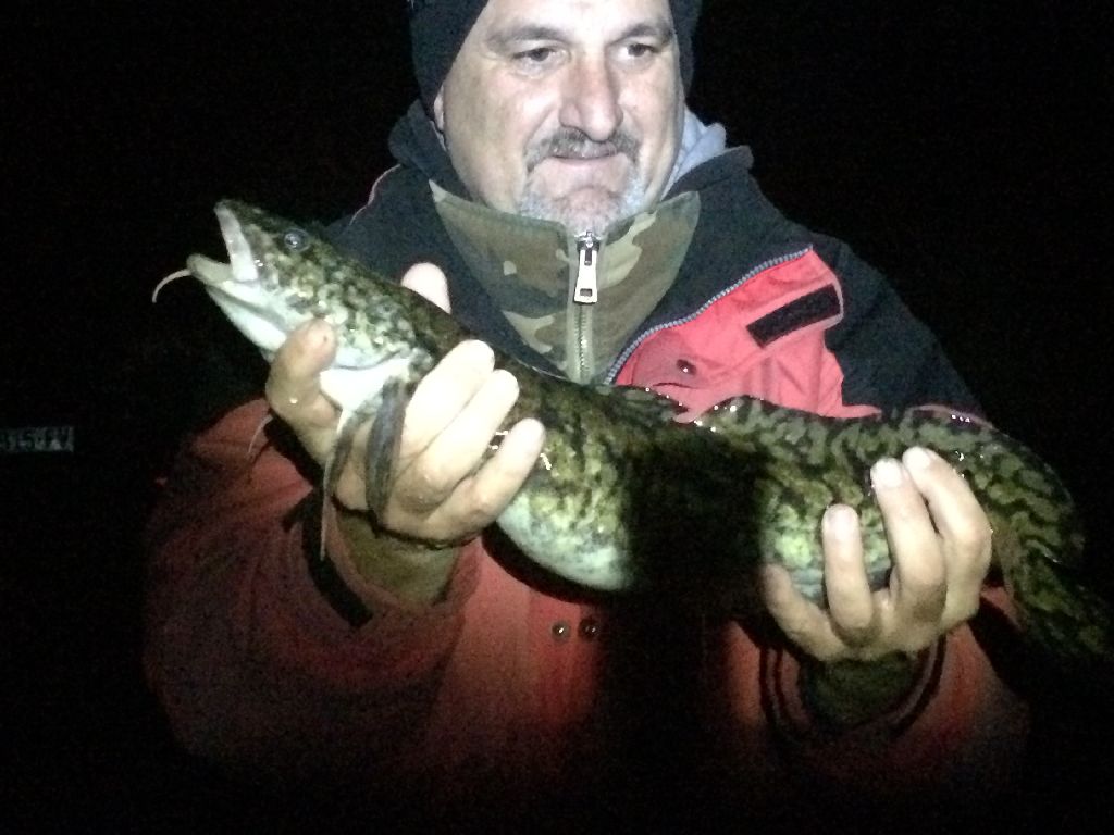 herby - Menyhal - Haldorádó horgász áruház