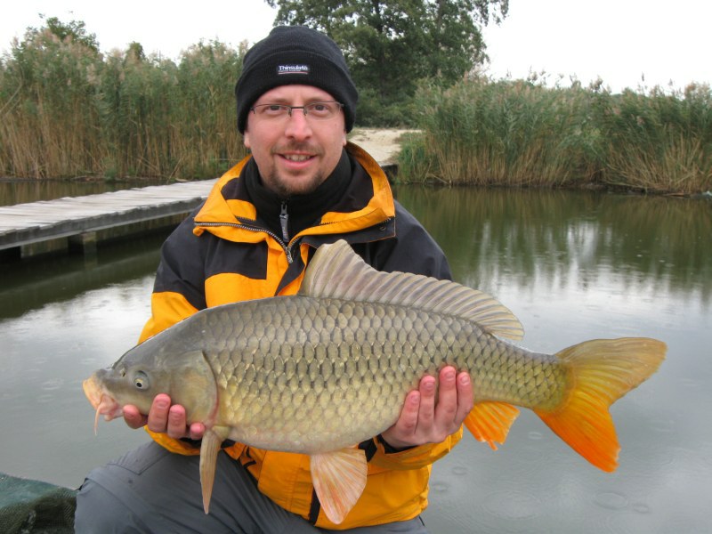 bazsimc - Ponty - Haldorádó horgász áruház