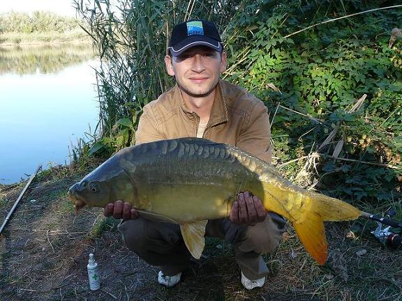 pickerman - Ponty - Haldorádó horgász áruház