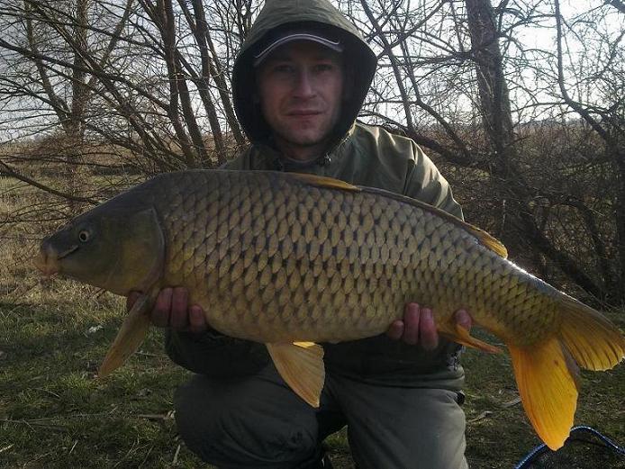 pickerman - Ponty - Haldorádó horgász áruház