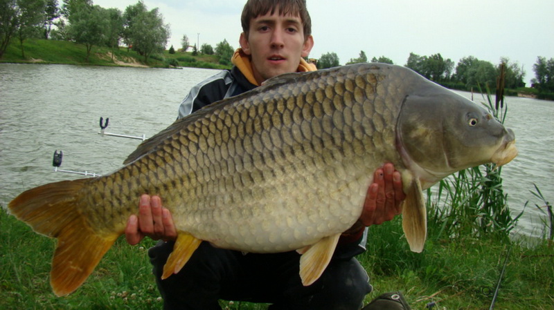 benkepeti - Ponty - Haldorádó horgász áruház