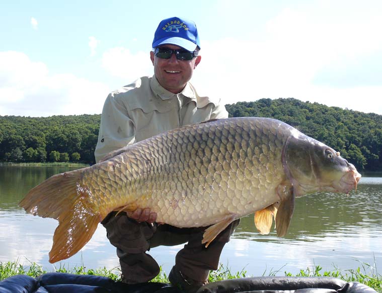 dome - Ponty - Haldorádó horgász áruház