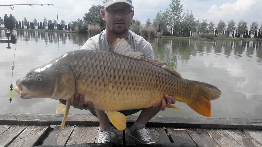 gabor626 - Ponty - Haldorádó horgász áruház