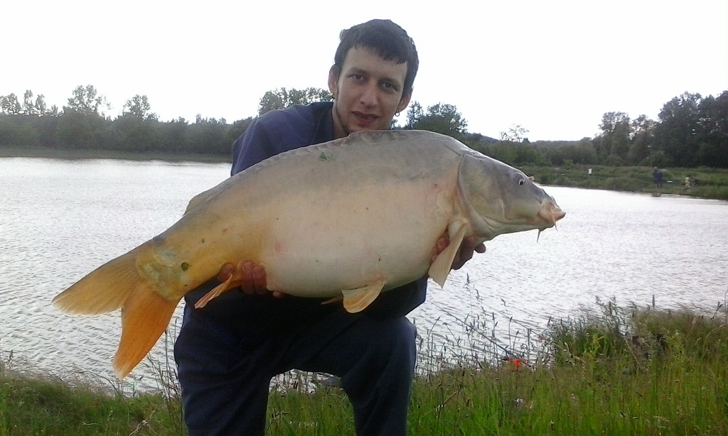 ultragery - Ponty - Haldorádó horgász áruház