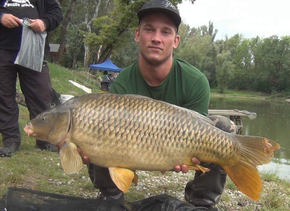 rikibalazs170992 - Ponty - Haldorádó horgász áruház