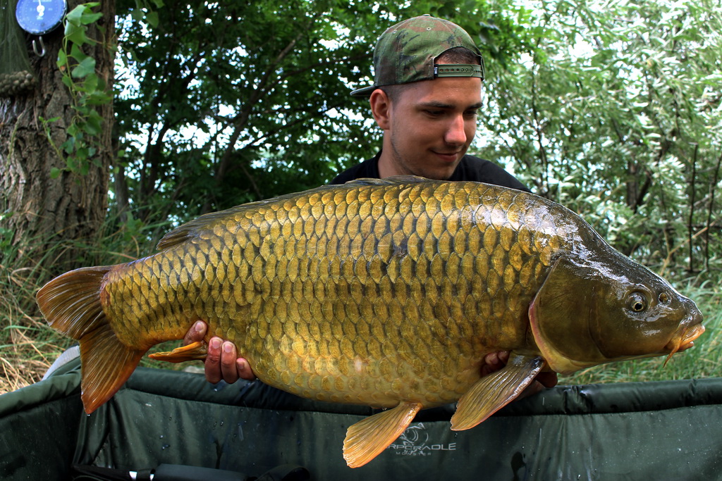 bence123456 - Ponty - Haldorádó horgász áruház