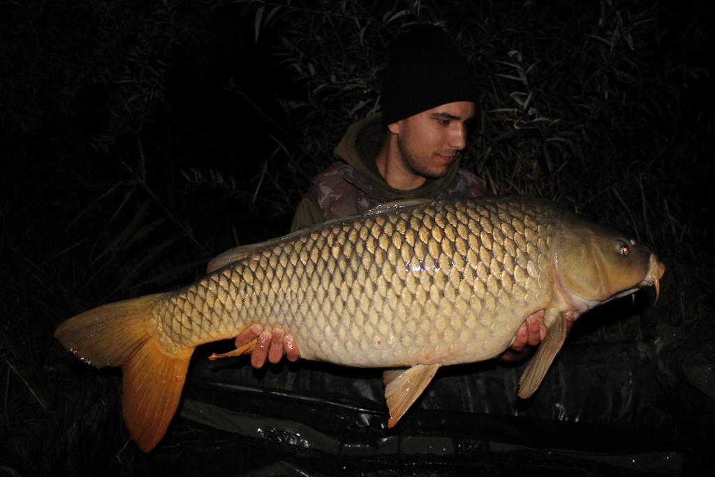 bence123456 - Ponty - Haldorádó horgász áruház