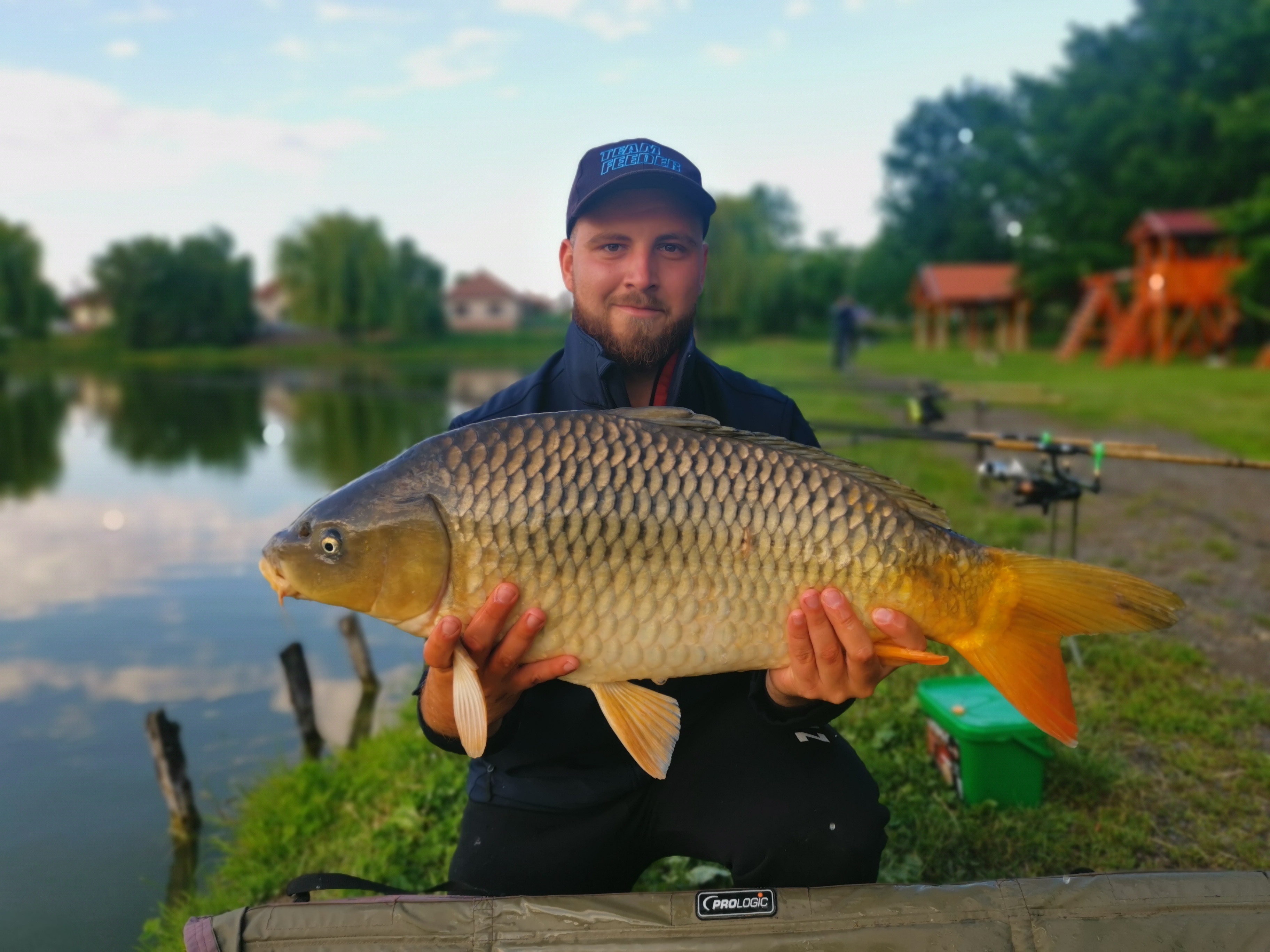 sebidany94 - Ponty - Haldorádó horgász áruház