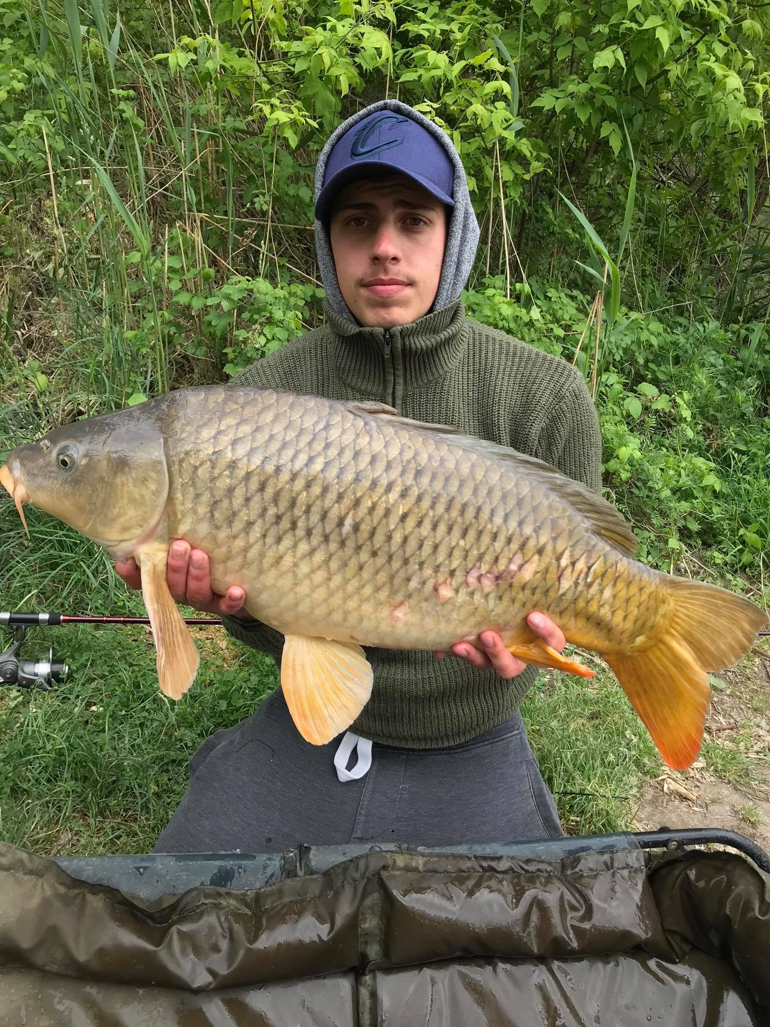 q6tycm_1590951838 - Ponty - Haldorádó horgász áruház