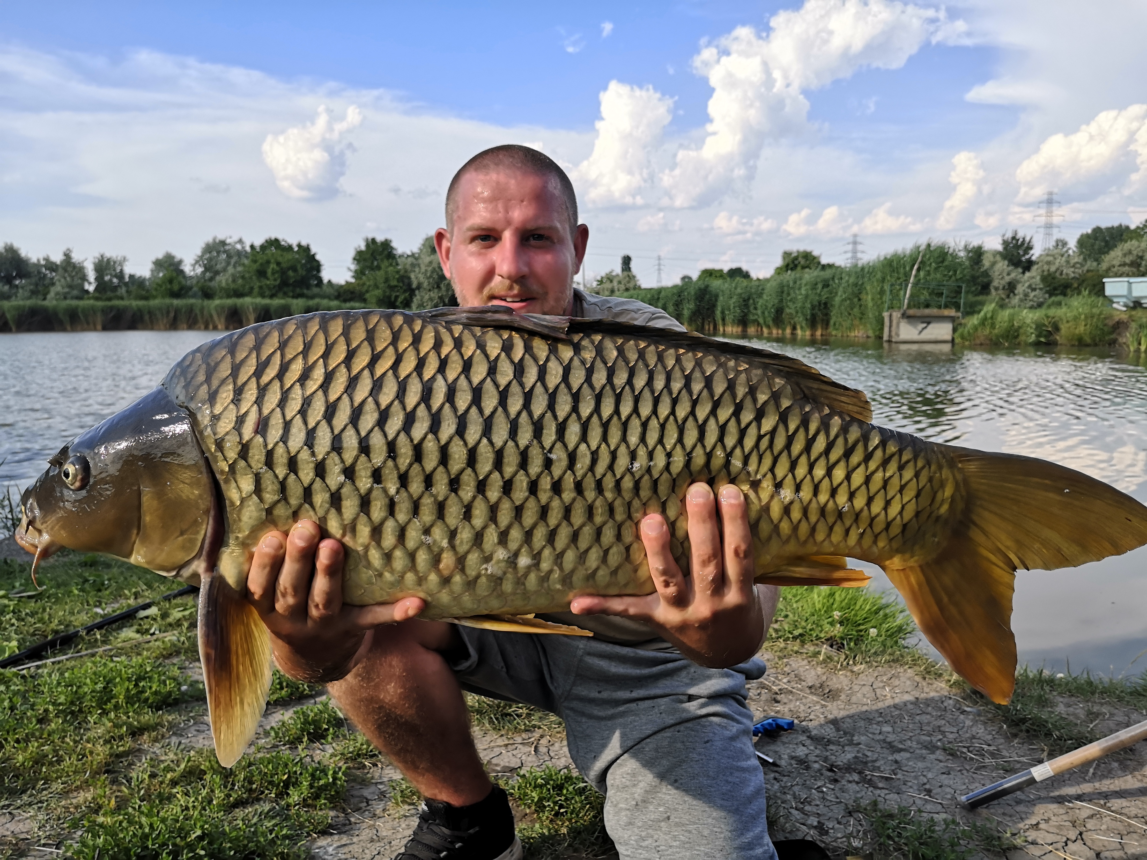 Bodnar1988 - Ponty - Haldorádó horgász áruház