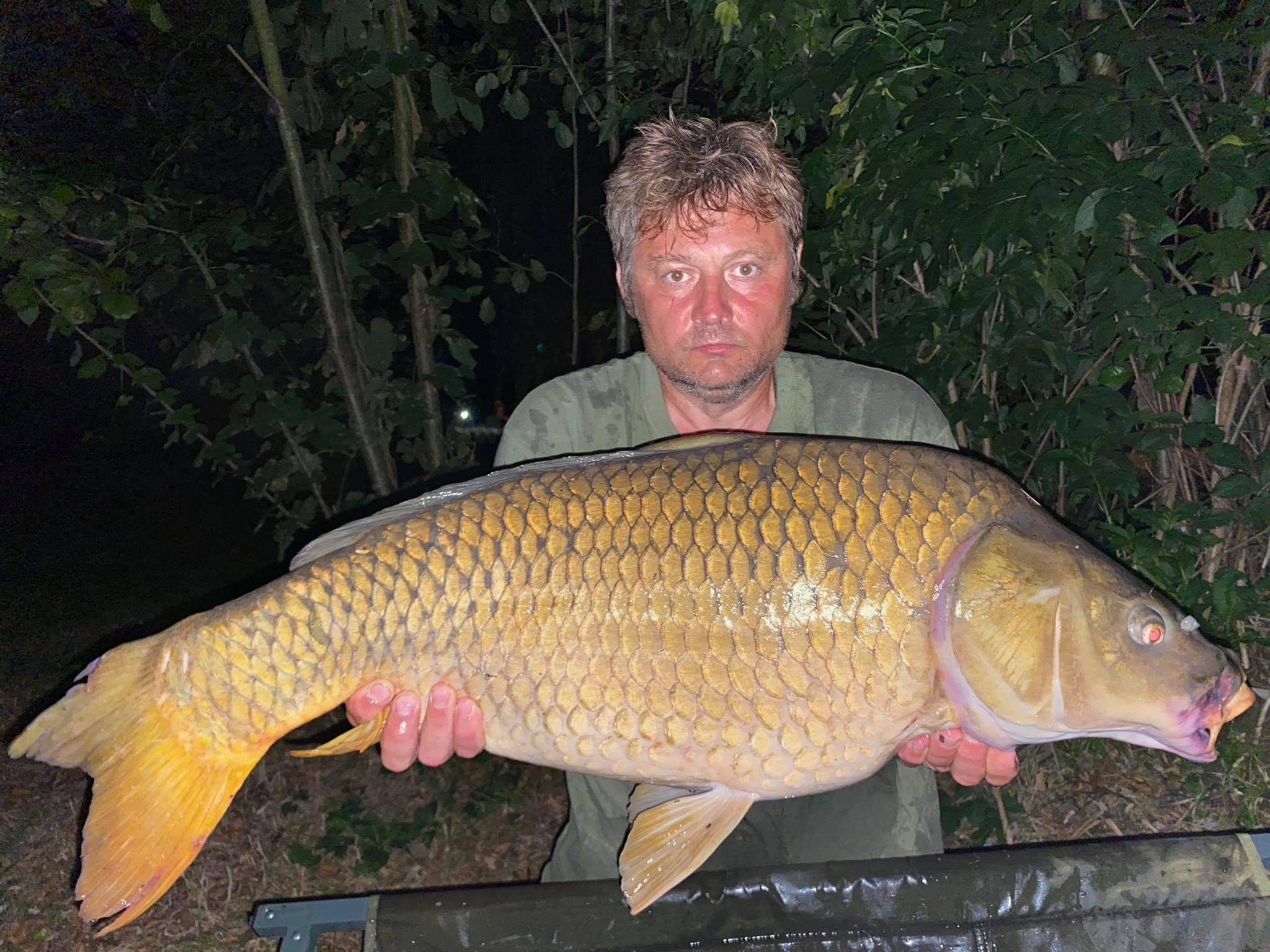 rqv5xy_1624865807 - Ponty - Haldorádó horgász áruház