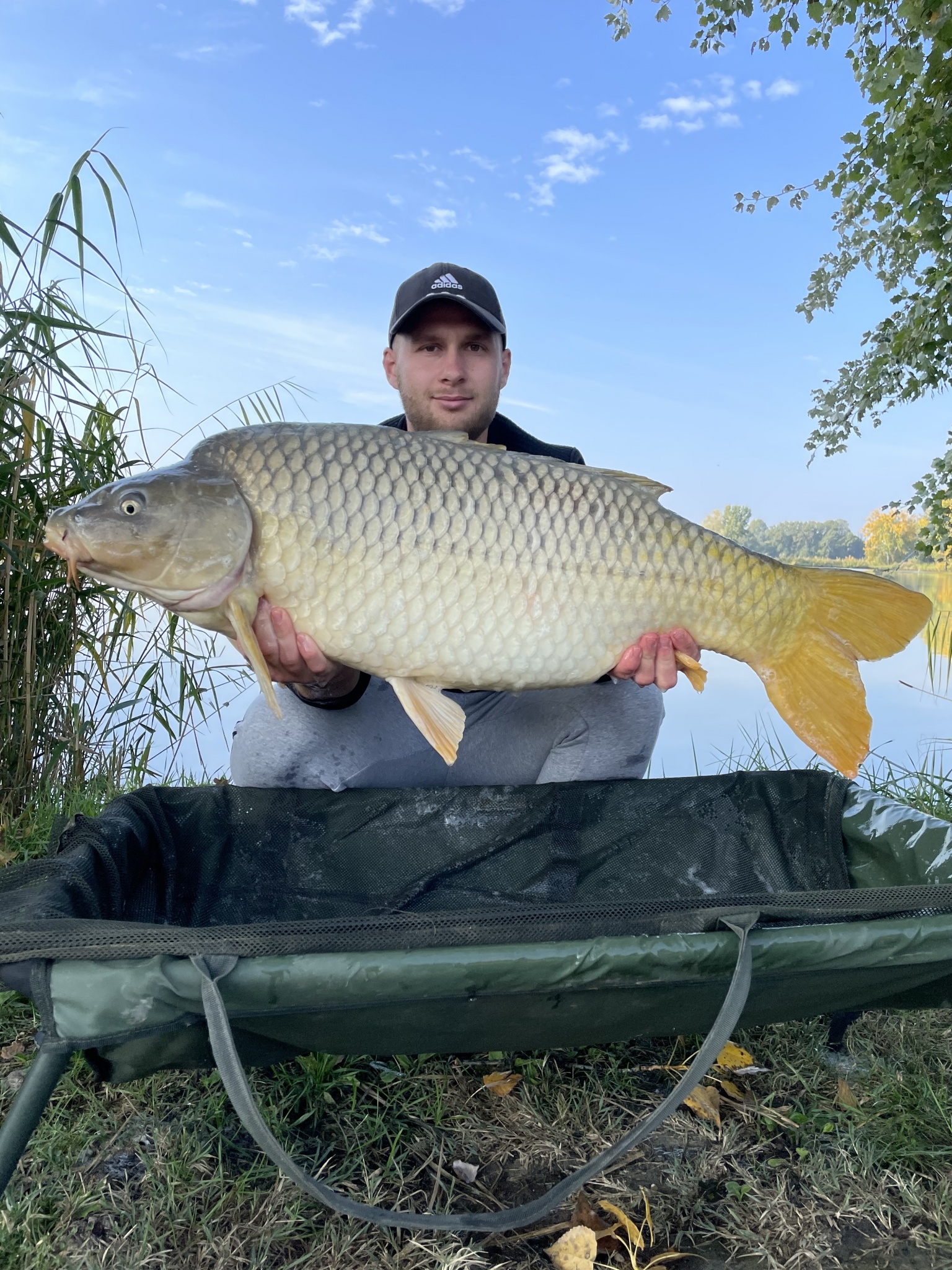 ladika96 - Ponty - Haldorádó horgász áruház