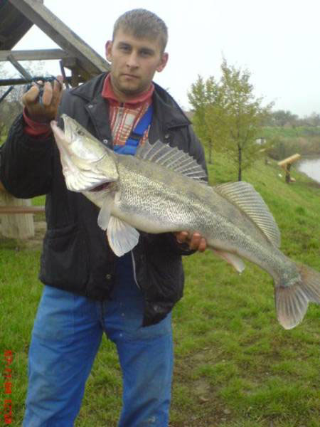 pecapeca - Süllő - Haldorádó horgász áruház