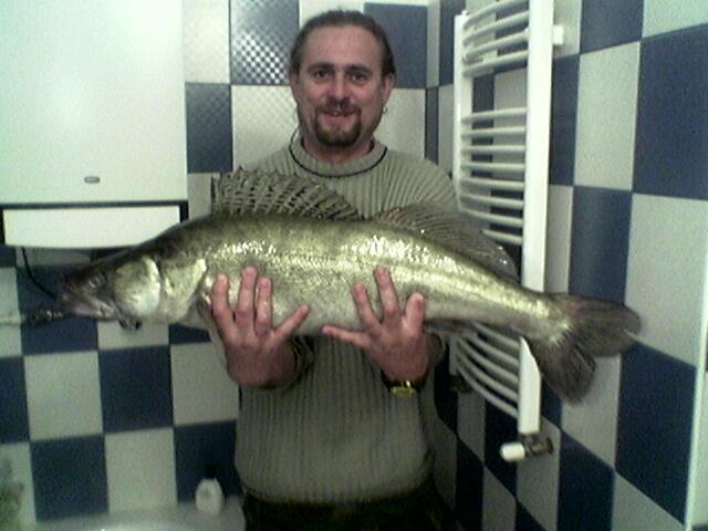 po-fan - Süllő - Haldorádó horgász áruház