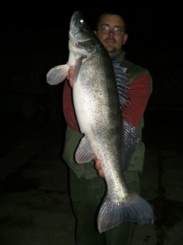 endru - Süllő - Haldorádó horgász áruház