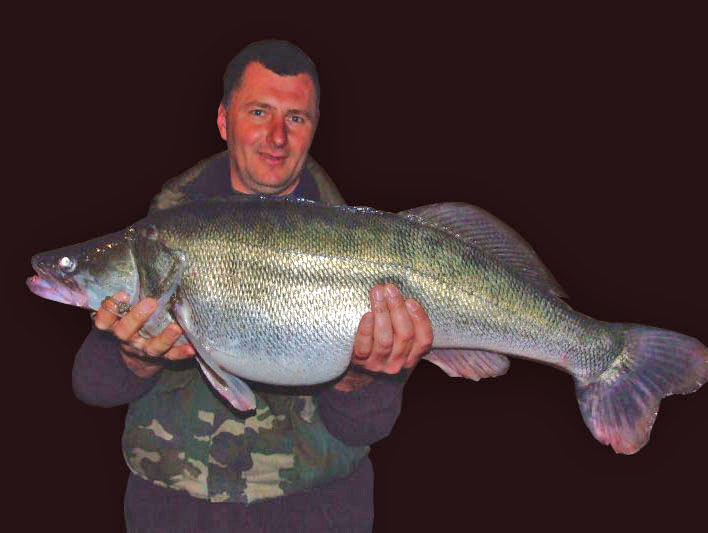 parcsegabor - Süllő - Haldorádó horgász áruház