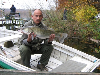 tulok43 - Süllő - Haldorádó horgász áruház