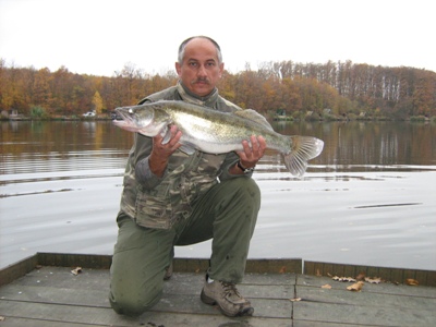 tulok43 - Süllő - Haldorádó horgász áruház