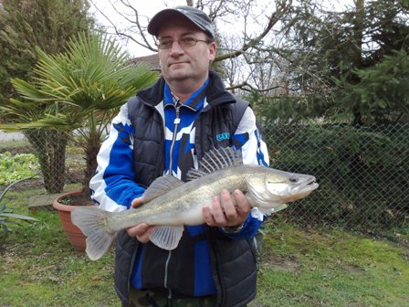 linj - Süllő - Haldorádó horgász áruház