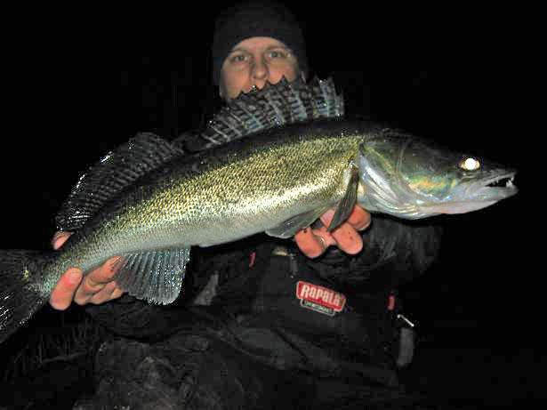 victorcnr - Süllő - Haldorádó horgász áruház