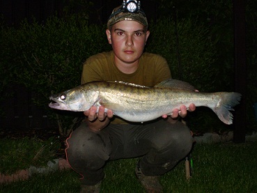 pecas1994 - Süllő - Haldorádó horgász áruház