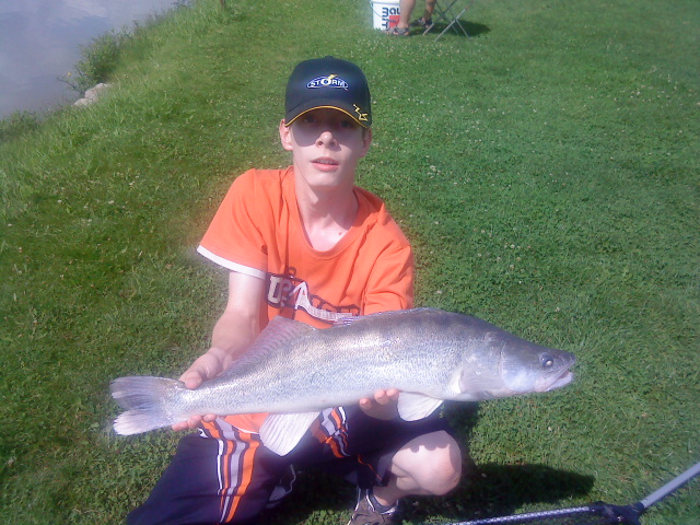 griff55 - Süllő - Haldorádó horgász áruház