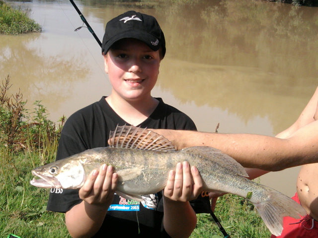 osandor95 - Süllő - Haldorádó horgász áruház