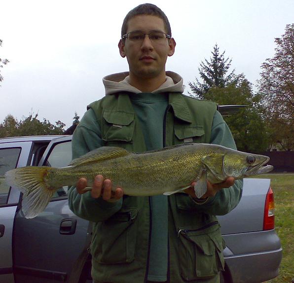 pikerace - Süllő - Haldorádó horgász áruház